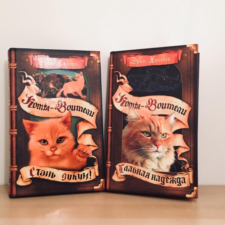 Коты Воители Все Книги Фото — Картинки фотографии