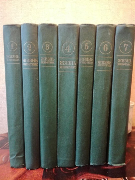 Жизнь Животных, энциклопедия в 7 томах – купить в Москве, цена 1 000 ...