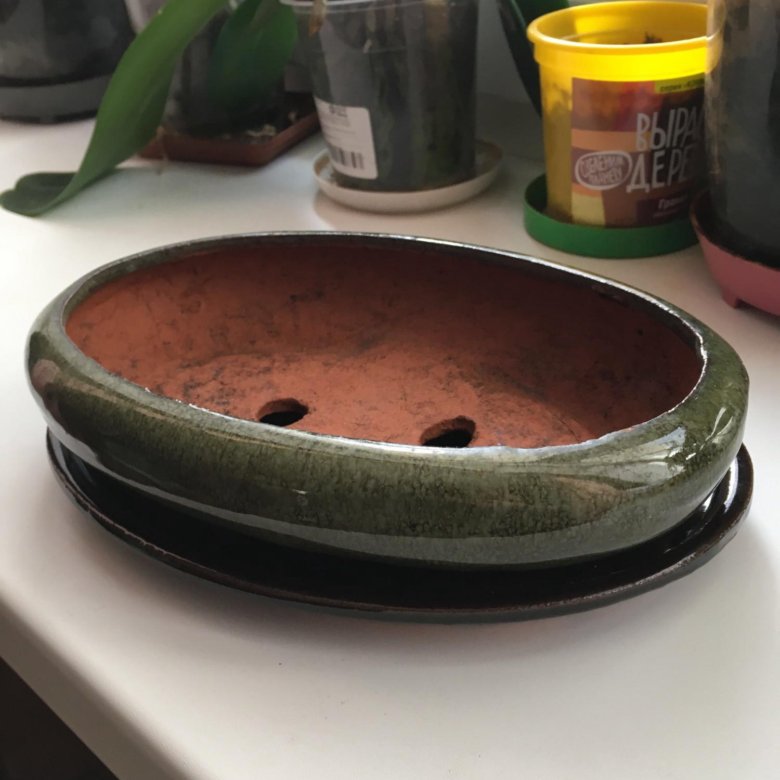 Горшок для бонсая – купить в Москве, цена 300 руб., продано 13 апреля ...