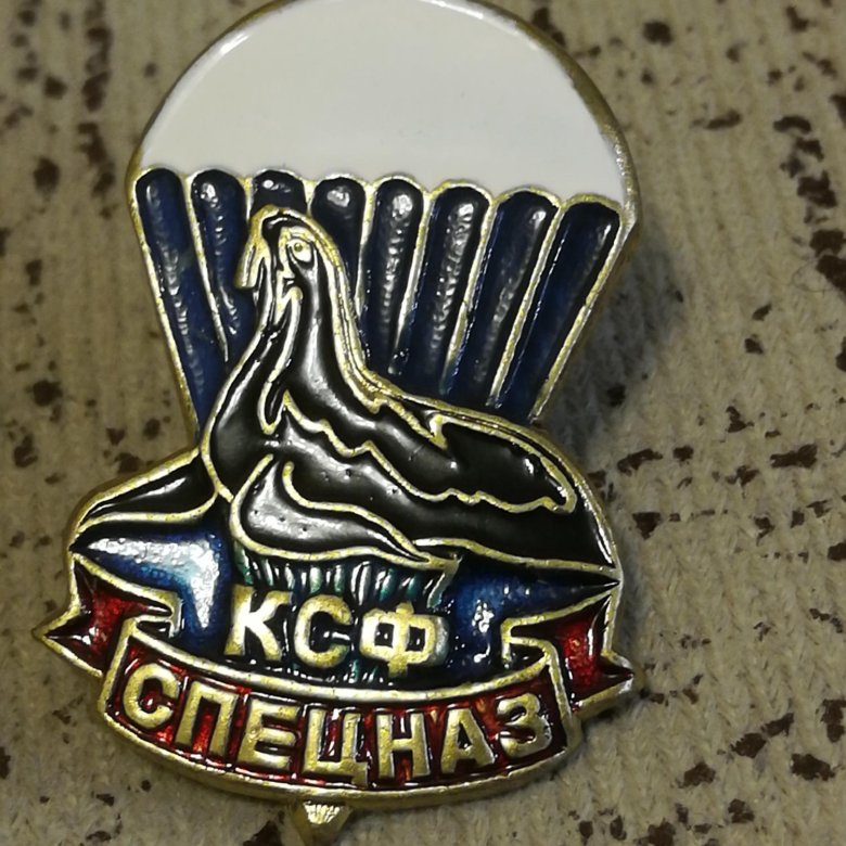 ЗНАЧОК СПЕЦНАЗ ВМФ – купить, цена 250 руб., продано 10 февраля 2019 ...
