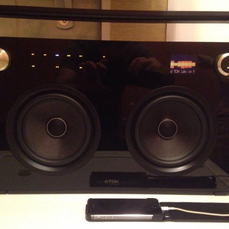 Boombox TDK-2 speaker – купить в Санкт-Петербурге, цена 9 900 руб ...