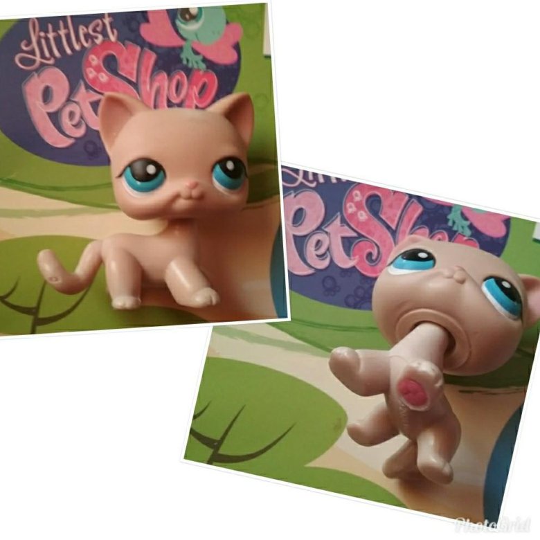 Littlest pet shop # 228 lps ОРИГИНАЛ – купить в Москве, цена 1 100 руб ...